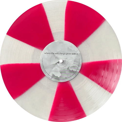 Starsailor - Where The Wild Things Grow - Pinwheel Red and Transparent ...