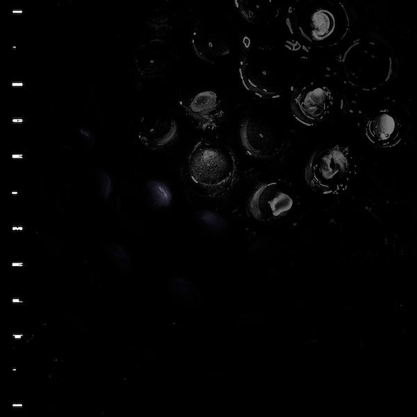 Crumb - Ice Melt - Vinyl Record – Indie Vinyl Den