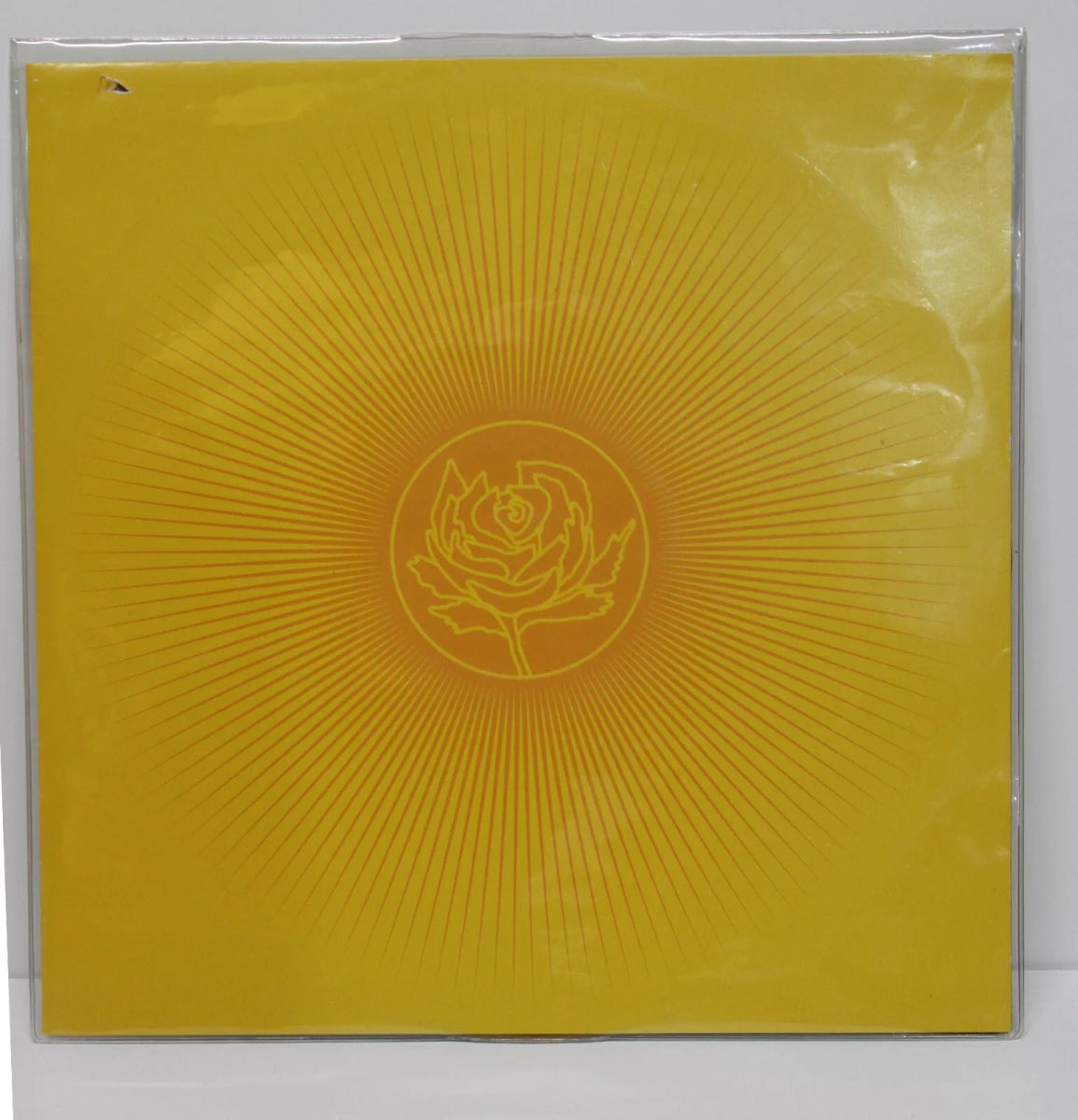 Ryan Adams - Easy Tiger - Orange Color Vinyl Record – Indie Vinyl Den